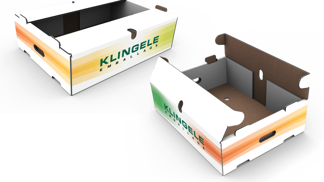 Best 6Kg Mango Boxes For Plane Transport - Caisses Pour Fruits