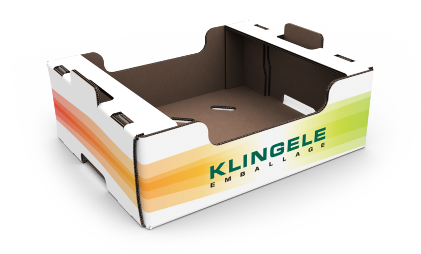 Best 4Kg Mango Boxes For Boat Transport - Caisses Pour Fruits